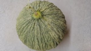 ДЫНЯ ИНЖИРНАЯ сочная и очень нежная по вкусу