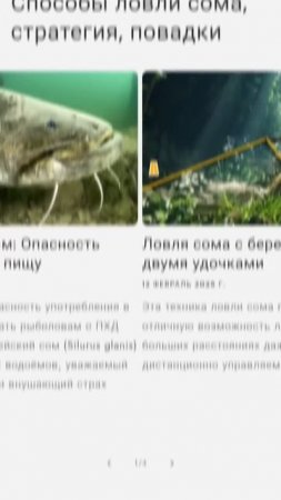Мой брэнд DALKE FISHING всё о соме и для ловли сома  #сом #виталийдальке #dalkefishing #mastodont