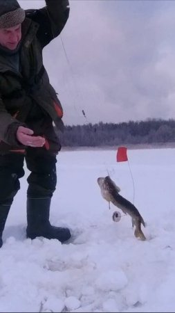 В рот попал   Рыбалка 2023 Зима #ловлящуки #рабалканащуку