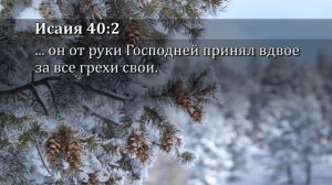 4. Война окончена (Эндрю Уоммак, 2025)