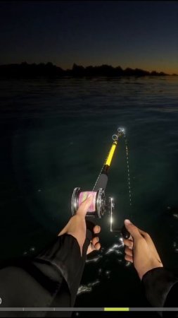 #shorts Russian Fishing4 #РР4..Норвежское Море - Трофейная Зубатка.