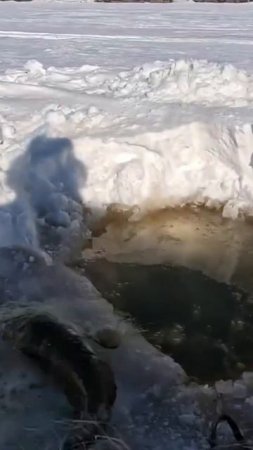 Проверяем сеть Поймали налима и сразу успокоили его #р