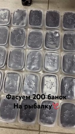 #рыбалка#биогумус#дендробена#музыка#черви#отдых