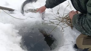 Проверка перемета, продольник.2.02.25г.