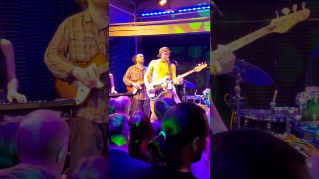 Рома ВПР, Африканская рыба в нашей мутной воде #shorts #впр #рома  #регги #музыка #reggae