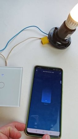 Умный сенсорный выключатель света WIFI+RF433 без нуля и с нулем Tuya с Алисой