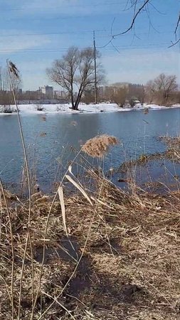 Рыбалка на спиннинг.Красота городской реке весной в м?