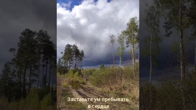 Заставь ум прибывать в сердце Роберт Адамс