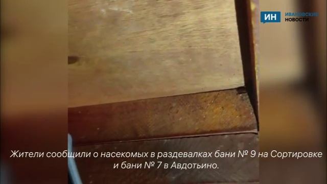 В муниципальных банях Иванова появились тараканы