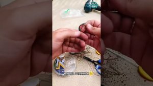 Старинная снасть для САЗАНА. МАКУШАТНІК