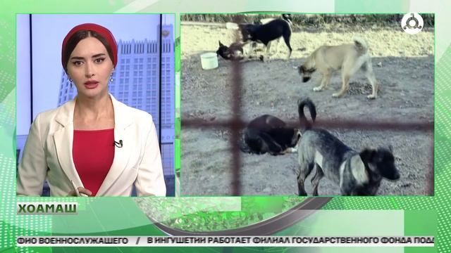Леладе бокъо йоацача дийнатий ц1ераш белгалъяхай Россе правительствос