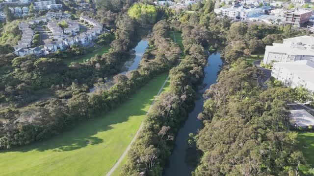 Собачьими тропами. Эпизодики. New Zealand.