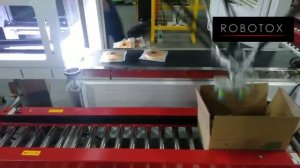 Упаковка фасованной продукции в короб роботом ROBOTOX_D3A-1600-3