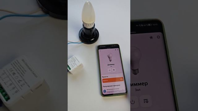 Диммер для светодиодных ламп 220В LED WIFI Zigbee
