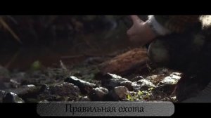 Топовые Смешные Видео #1 | Лучшие приколы марта | SmileProject(^ω^*)
