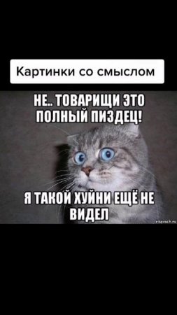 #мемы#мем#прикол#приколы#картинки#shorts#short