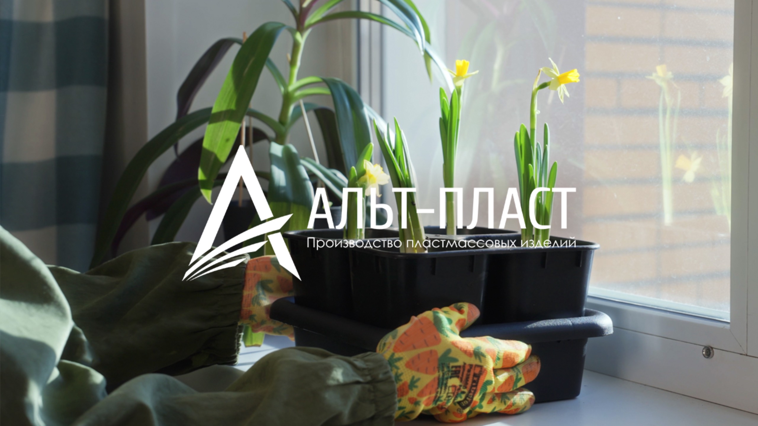 Видеообзор Наборов для рассады Альт-Пласт