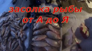 Засолка рыбы от А до Я.