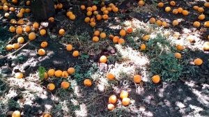 И СНОВА ПОНЕДЕЛЬНИК...