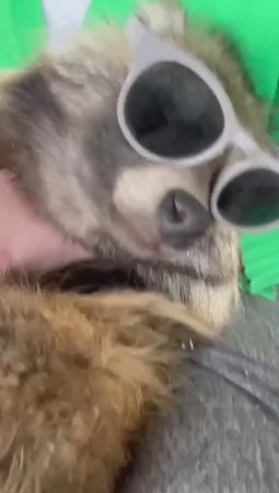 Кто же это?