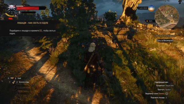 ВЕДЬМАК 3 Дикая охота THE WITCHER 3 WILD HUNT # 1 серия НАЧАЛО