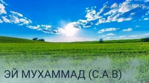 Эй Мухаммад (с.а.в)