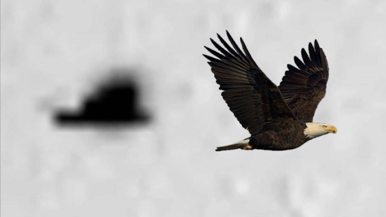 «Марсианин» Ридли Скотта