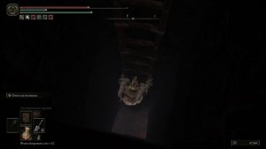 Секретная локация в замке пристанище теней shadow of erdtree