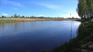 ДИКОЕ озеро и платник  озеро Романовское
