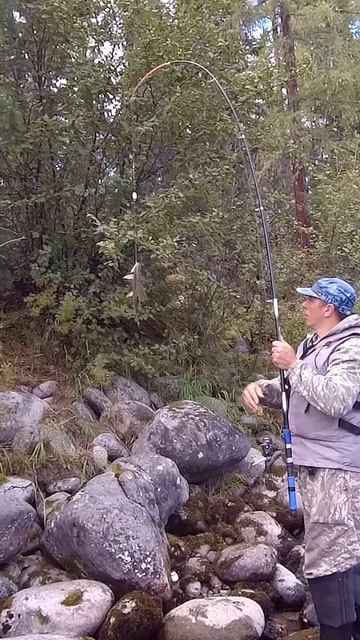 Здесь рыба есть