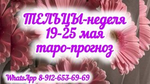 ТЕЛЬЦЫ. Неделя с 19 по 25 мая.
