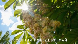 Наш весенний май
