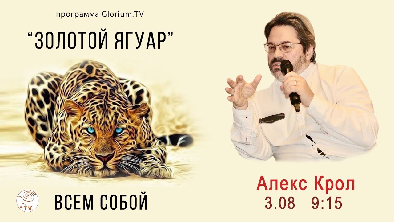 Алекс Крол |Золотой Ягуар §11