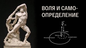 Феномен воли и техника самоопределения. Беседы о СМД-методологии и её схемах
