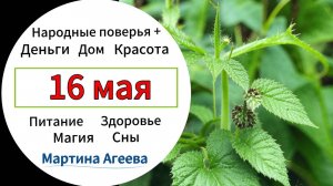 16 мая - День Мавра - зеленые щи \\ День картошки с молоком