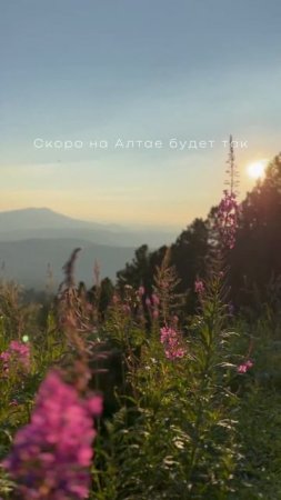 #алтай #туры #путешествия #mountains #весна #spring #springiscoming #горы #турынаалтай
