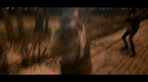 Аниме в реальной жизни / Anime in real life