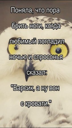анекдоты 2024 #прикольно #смешно #юмор #угар