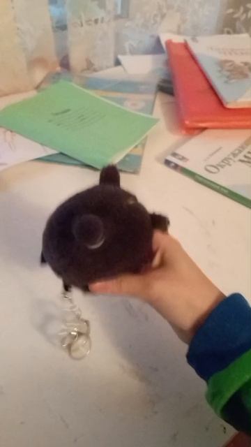 кот вертит