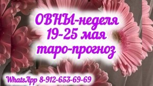 ОВНЫ. Неделя с 19 по 25 мая.