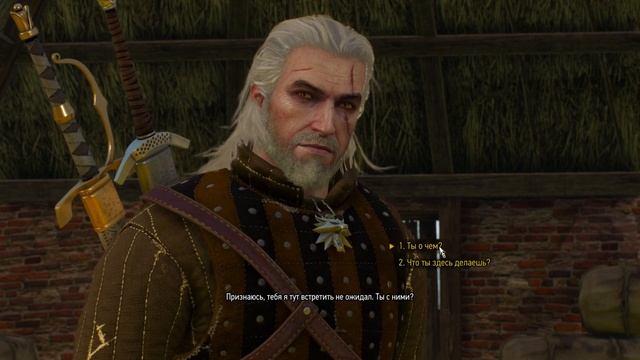 ВЕДЬМАК 3 Дикая охота THE WITCHER 3 WILD HUNT # 10 серия ЛЕТО.