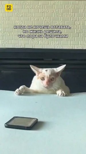 Чего только ни сделаешь ради вкусных булочек! Согласны? #foodru #мем