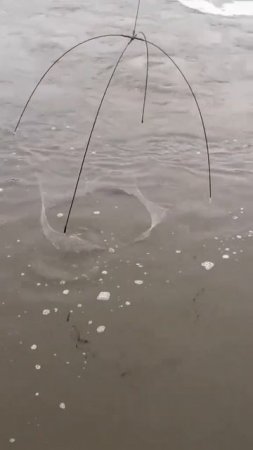 Неплохо поймал #рыбалка #fishing #рыба #ловим #прикол #юмор