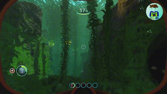Subnautica. 1  Только игровой процесс. Без комментария.