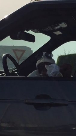 Прикол! Это Дубай, детка!;) культурная обезьяна в Range Rover!