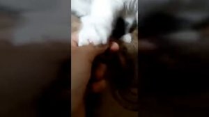 Прикол с моим котиком боньком
