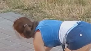 ЛУЧШИЕ приколы дня с девушками,стервы,тупые бабы