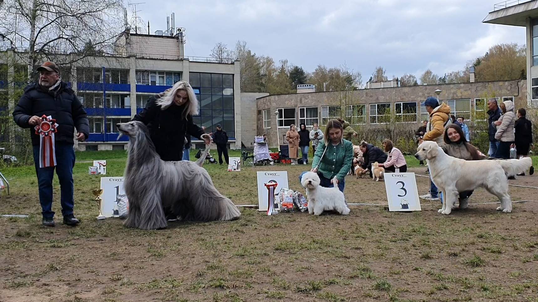 10.05.2025, СПб. "Кеннел-Клуб СПб" (РКФ, РФЛС). Выставка собак всех пород "ВЕСНА-2025" (САС, ЧРКФ)