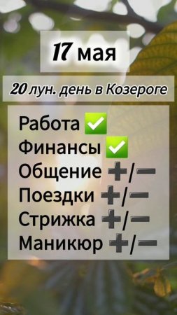 Лунный день 17 мая 2025 года