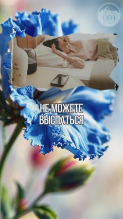 Ваш гид по здоровью, молодости и долголетию - бесплатный ТГ-бот➡️ https://t.me/deholding_info_bot
